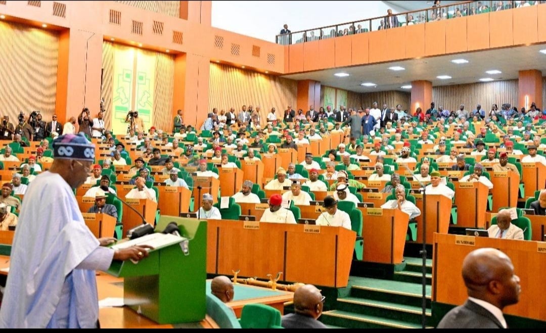 FACT CHECK: Did lawmakers skip the national anthem during Tinubu's Democracy Day speech ...
